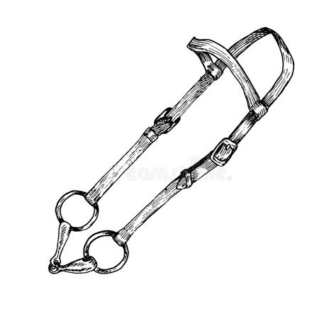 Graphic Vector Illustration Of Brown Bridle Golden Snaffle Or Bit