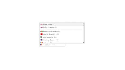 INTERNATIONAL TELEPHONE INPUT