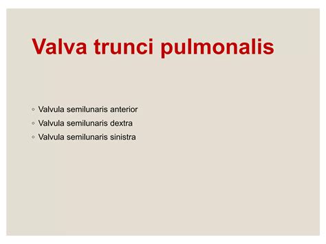 Зүрхний анатоми ба физиологи Pptx