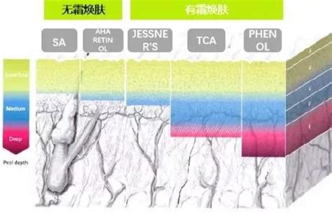 美白刷酸早c晚a，看这1篇就够了！ 微医（挂号网）