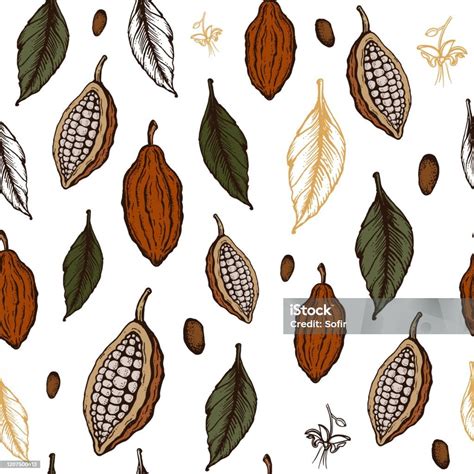 코코아 콩 원활한 패턴 스케치 손으로 그린 벡터 일러스트 코코아 콩에 대한 스톡 벡터 아트 및 기타 이미지 코코아 콩 코코아 패턴 Istock