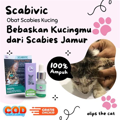 Jual Scabivic Obat Khusus Scabies Dan Jamur Kucing Terjamin AMPUH