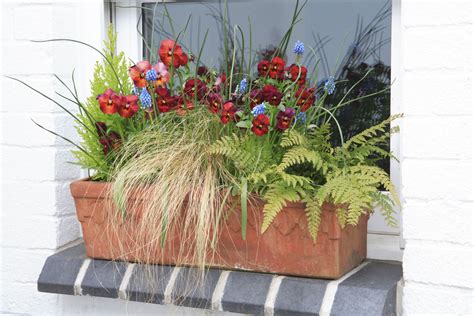 Window Box Flowers For Shady Spots