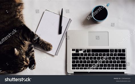 40 Log Out Internet Funny Images Stock Photos Vectors Shutterstock