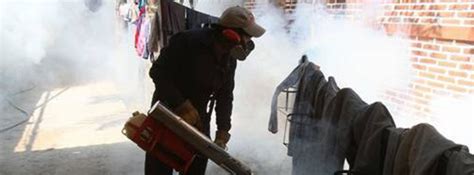 Confirman En España Transmisión Del Dengue Por Vía Sexual