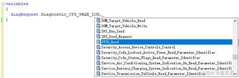 【diagnostics Capl】diagsendrequest的使用 Csdn博客