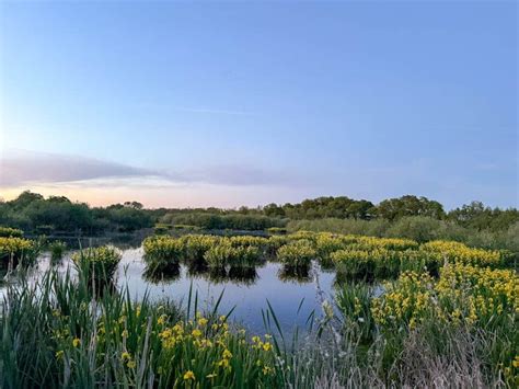 Compensatory Mitigation 5 Powerful Success Tips For 2025