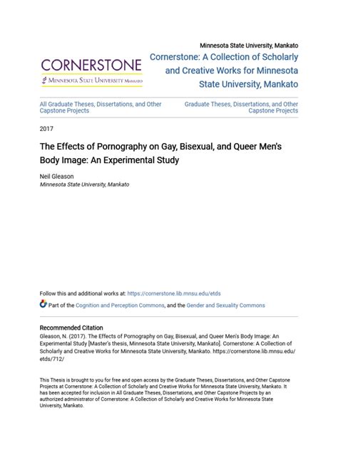 The Effects Of Pornography On Gay Bisexual And Queer Mens Body Pdf