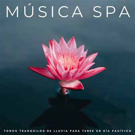 Música Spa Tonos Tranquilos De Lluvia Para Tener Un Día Pacífico Sonidos Relajantes de