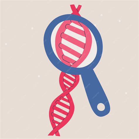 Premium Vector Dna Helix Under A Magnifying Glass Or Loupe Dna