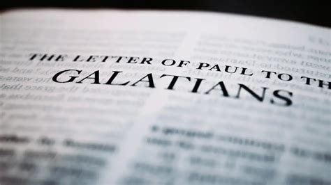 What Is The Rod In The Bible The Holy Script