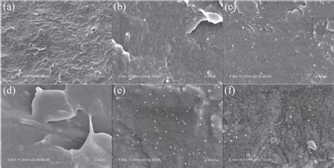 SEM Images Of Cryo Fracture Surface Of Pure PPS And PPS Antioxidants