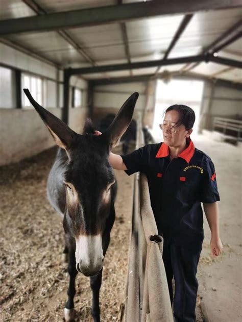 我院2位专家当选第四届国家畜禽遗传资源委员会委员和专业委员会委员 新疆维吾尔自治区畜牧科学院