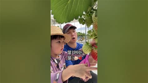 딸기 따는 딸👶🏻🍓 Youtube