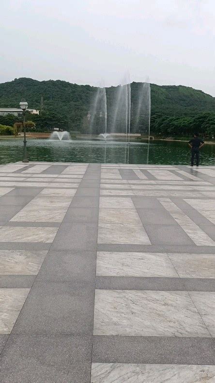 Pakistan React Pakistanreact • Instagram Photos And Videos