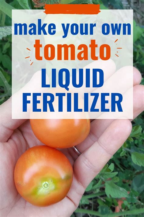 Tomato Fertilizer Artofit