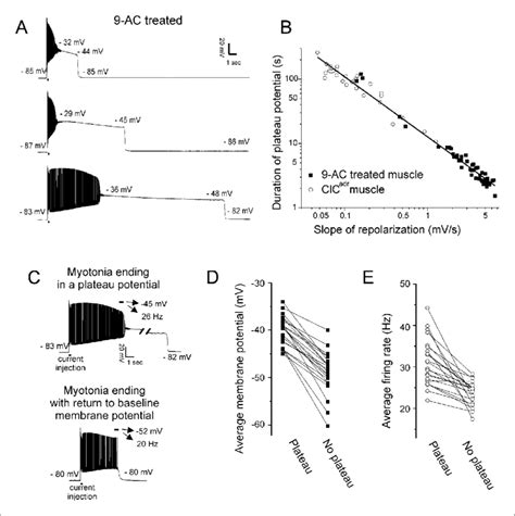 Characterization Of Plateau Potentials A Three Examples Of Plateau