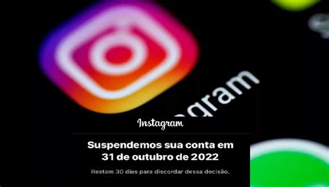 Perda De Seguidores Usuários Alegam Que Contas Do Instagram Foram