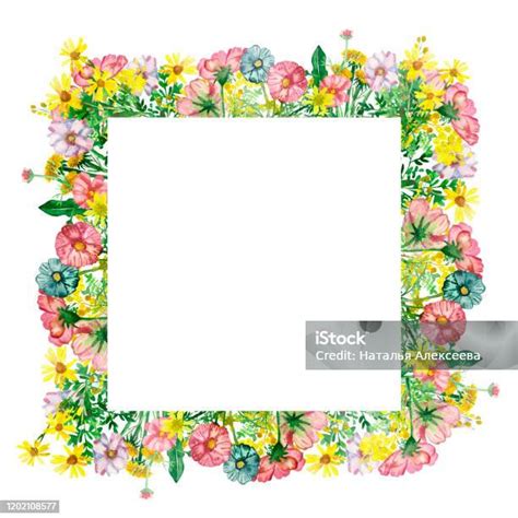 수채화 손 그린 자연 꽃 초원 제곱 테두리 프레임 핑크 아카시아 아르니카 쑥 블루 데이지 노란색 민들레 꽃과 녹색 잎 인사말 카드에 대한 흰색 배경에 0명에 대한 스톡 벡터