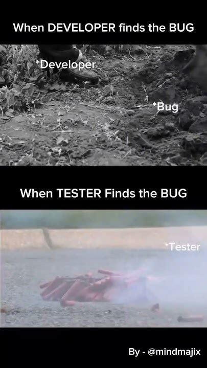 😂 when developer and tester find the bug developermemes codingmemes