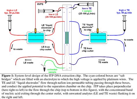 Figure 1 From Rapid Automated Sample Preparation For Biological Assays
