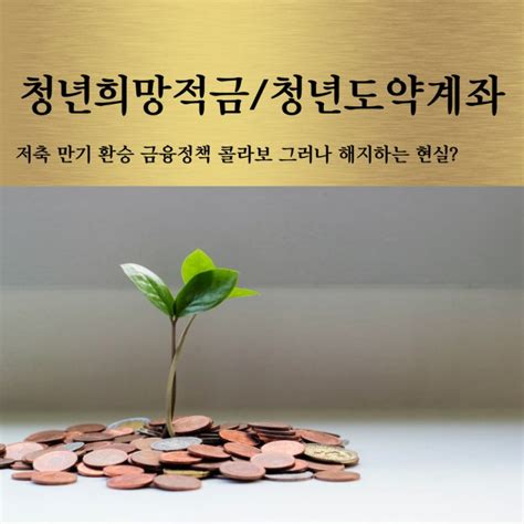 문재인 청년희망적금 윤석열 청년 도약계좌 저축 만기 환승 금융정책 콜라보 그러나 해지하는 현실 네이버 블로그