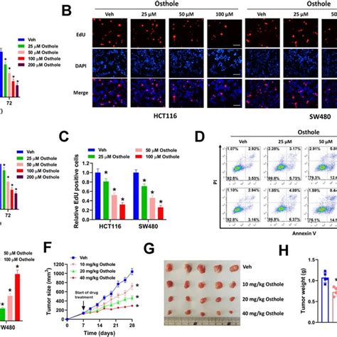 Osthole Inhibits Proliferation And Tumor Xenograft Growth Of