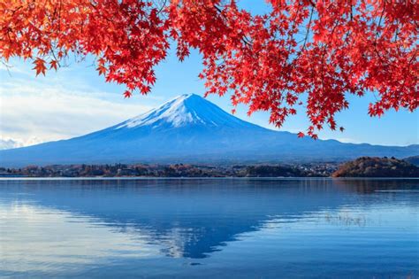 自駕樂遊秋日河口湖！賞楓絕美5大景點完整推薦 完美行旅遊情報（wamazing Discover）