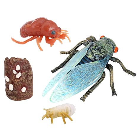 Insect Cicada Lore Life Cycle 4 Pcs Insect Figur Vicedeal