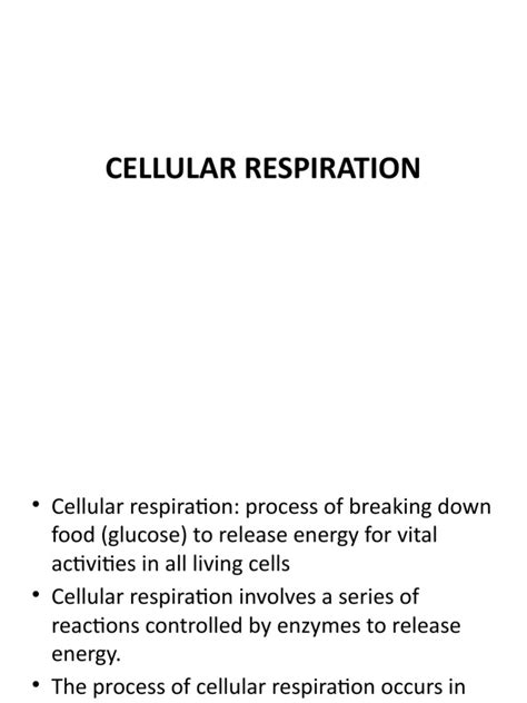 Chap7f4 Cellular Respiration Pdf Cellular Respiration Adenosine