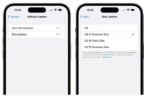 How To Download IOS Beta