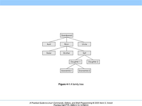 A Practical Guide To Linux® Commands Editors And Shell Programming