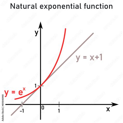 A Graphical Representation Of The Natural Exponential Function Compared