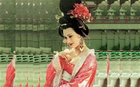 【盘点】杨贵妃的衣柜（50套）‖林芳兵‖杨玉环本环哔哩哔哩 ゜ ゜つロ 干杯~ Bilibili