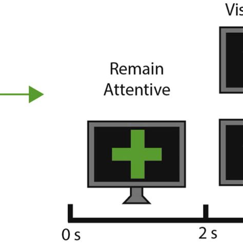 Experimental Protocol And Duration Of Experiments In Mi Tasks Download Scientific Diagram