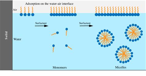 Schematic Diagram Of Micelle Formation Adapted From Zana 2005