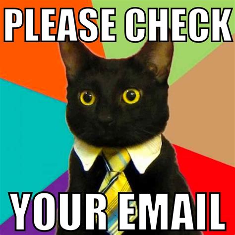 Please Check Your Email To Verify Weve Reached You Feisworld