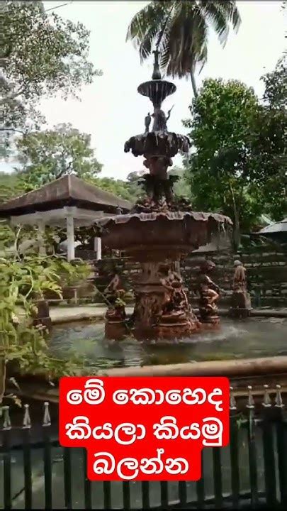 මේ කොහේද දන්න අය Comment එකක් දාගෙන යන්න Srilanka Shorts House