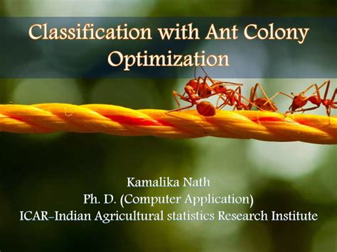Classification With Ant Colony Optimization Pptx
