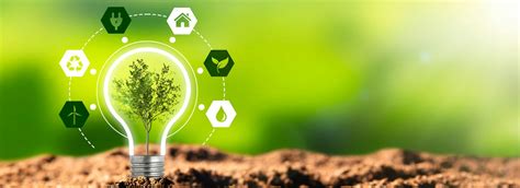 Miffed By Mifid Ii Sustainability Updates Explained