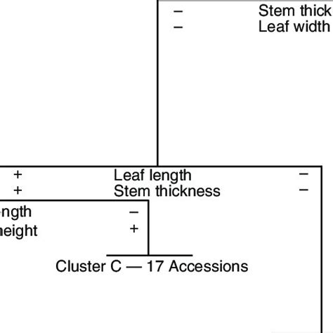 Cluster Diagram Showing The Separation Into 4 Groups Using The Complete