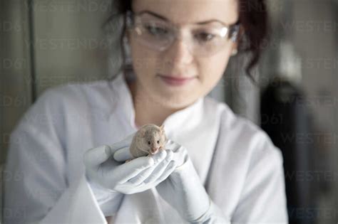 Germany Research Laboratory Young Scientist Watching Laboratory Mouse