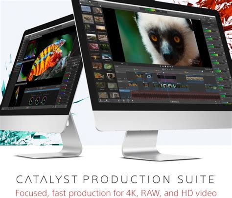 Catalyst Production Suite By Sony Creative Software Annatech