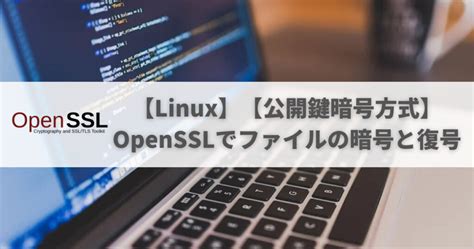 【linux】 Opensslを用いてファイルを公開鍵暗号方式で暗号化および復号する方法 ぺんぎんや
