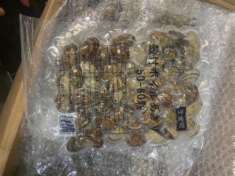 生食用真空ボイル殻付きあさり 50 60粒（500g）