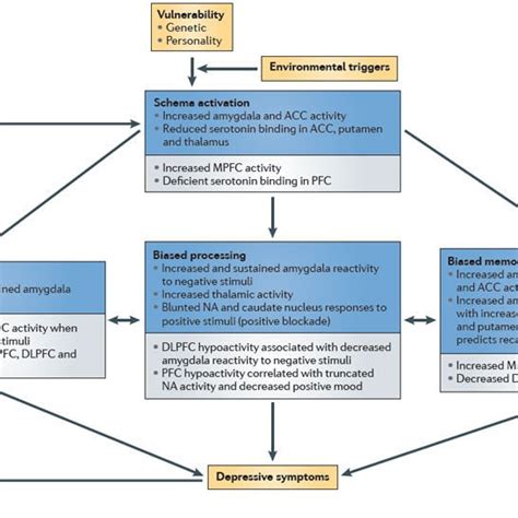 5 Summary Of An Integrated Cognitive Neurobiological Model Of Download Scientific Diagram