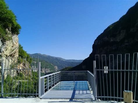 ცაგერი ლენტეხი 2020 ახალგაზრდული იდეები კოვოდ19 ის პირობებში