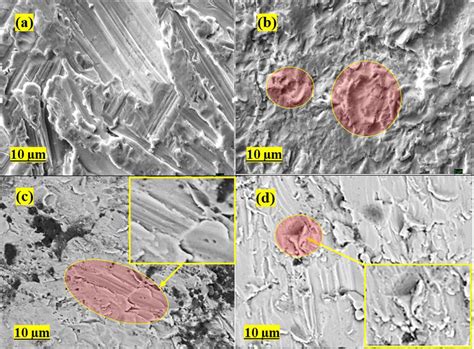 Sem Micrographs After Erosion Of A Bare Substrate At 300 Impact Angle