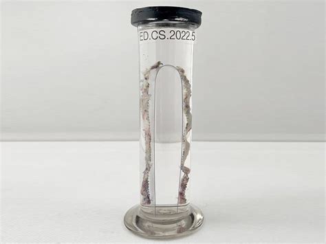 Resource For Patients With Pelvic Mesh Patient Safety Commissioner