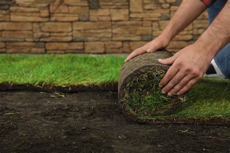 Why Sod Quality Matters What To Look For In A Local Sod Company